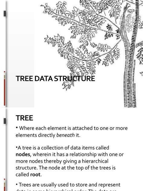 Tree Data Structure Pdf Algorithms And Data Structures Computer Data