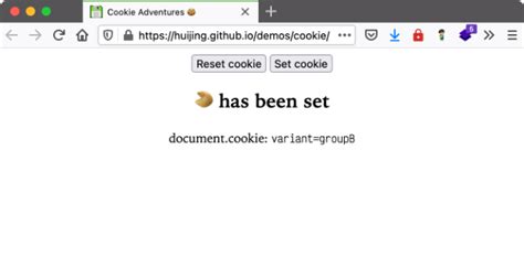 Understanding Browser Cookies