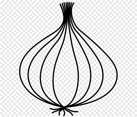 프랑스 양파 수프 양파 링 Bhaji Drawing 양파 음식 잎 Png Pngegg