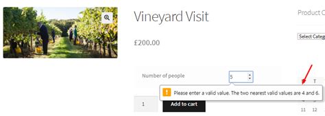 Product Input Fields Settings All Products Field 1 Documentation Woocommerce