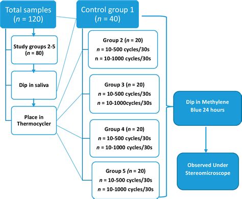 Figure 3 From An In Vitro Evaluation Of Microleakage In Resin Based Restorative Materials At