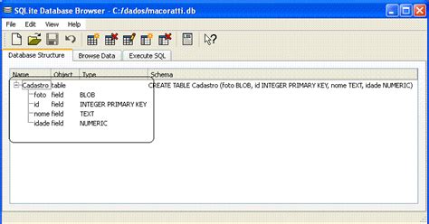 VB NET Usando SQLite