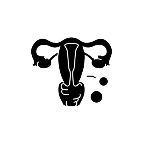 840 Anatomy Of The Female Reproductive System Clip Art Stock Illustrations Royalty Free Vector