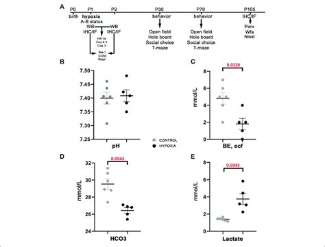 The Study Design And Acid Base Status Of The Animals Indicate