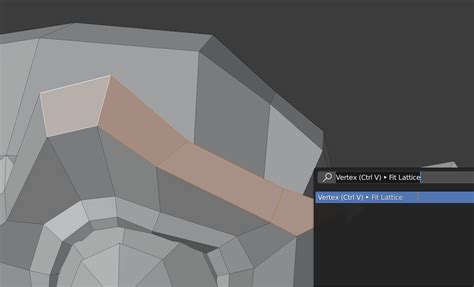 Fit Lattice Blendernation Bazaar