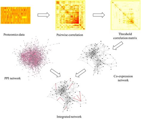 A Scheme Of Workflow To Generate Protein Co Expression Network In