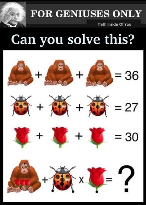 Ape Bug Rose Maths Puzzle Can You Solve It
