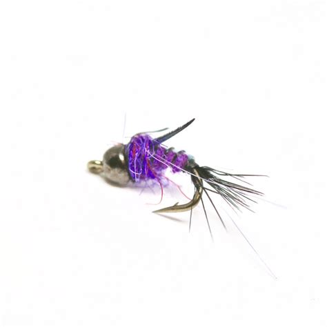 Tb Purple Weevil Nymph Iron Bow Fly Shop