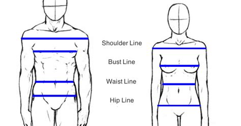 A Stylish Transition Concept Of Line