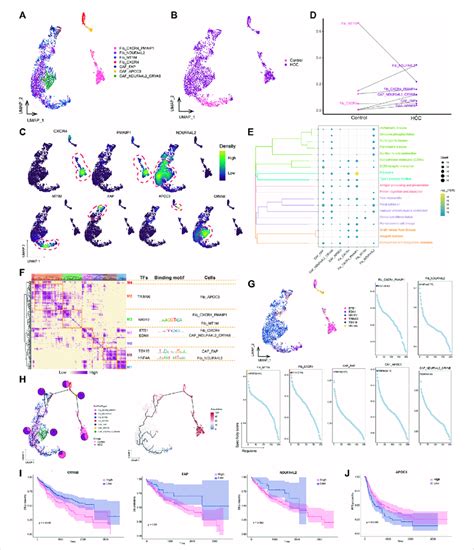 Landscape Of Fibroblast Subpopulations In The Hcc Microenvironment A