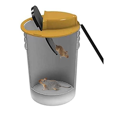 Rat Trap Indoor And Outdoor Rat Trap Clamshell Trap The Mouse Trap