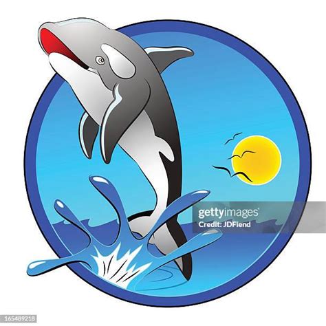 Digital Orca Photos And Premium High Res Pictures Getty Images