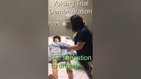 Womens Center For Pelvic Health Voiding Trial Aamc Anne Arundel