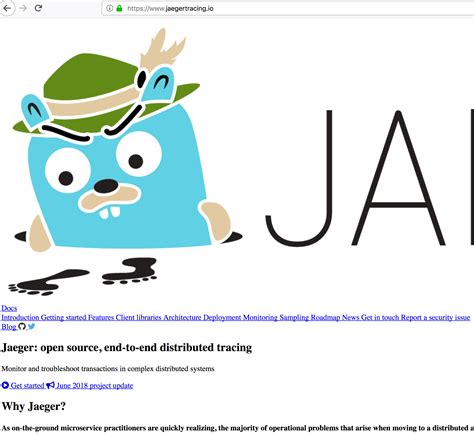 Website Does Not Render Correctly On Firefox Issue Jaegertracing Documentation GitHub