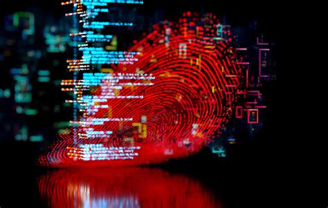 The Future Of Digital Signatures In A Post Quantum World