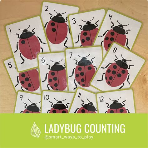 Smartwaystoplay Posted To Instagram We Love These Ladybug Counting