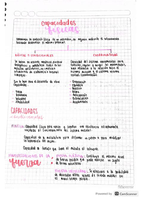 Capacidades Físicas Y Capacidades Coordinativas Apuntes De Educación
