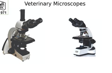 Understanding Particle Size Analysis With Microscope Getner Instruments