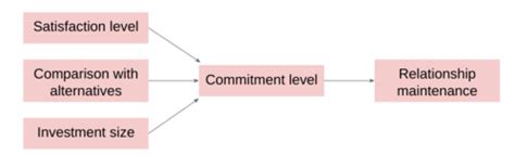 Psychology Relationships Researchers Flashcards Quizlet