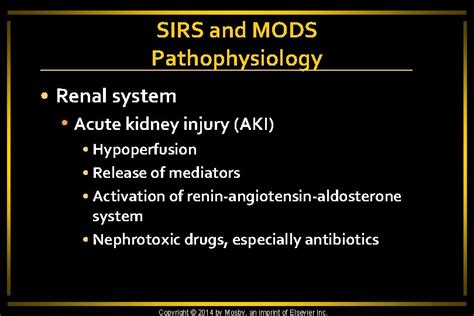 Systemic Inflammatory Response Syndrome Sirs And Multiple Organ