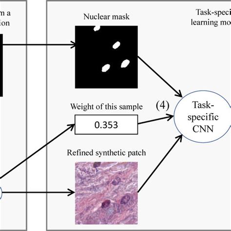 Evaluation And Visualization Of Importance Sampling Weights A