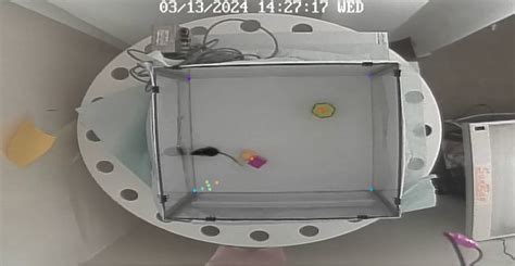 deeplabcut extract outlier frames mismatched labels usage and issues
