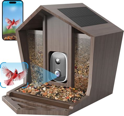 Birdster Smart Bird Feeder With Camera Solar Powered 25k