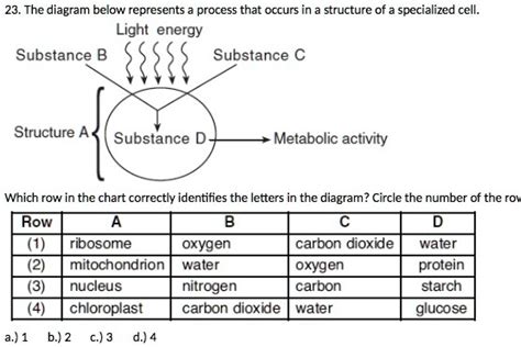Solved 23 The Diagram Below Represents A Process That Occurs In The