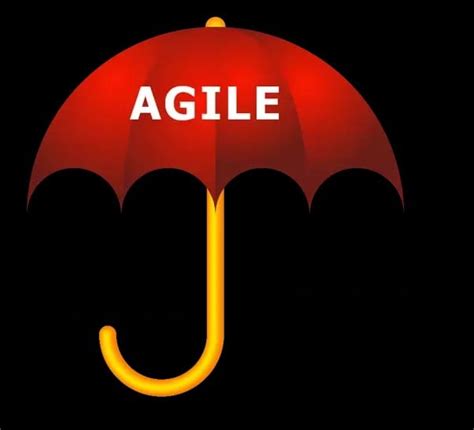 The Umbrella Called Agile Agile Consult Group Uk Facebook
