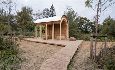Gallery Of The Meteoric Rise Of Cross Laminated Timber Construction 50 Gallery Of The Meteoric Rise Of Cross Laminated Timber Construction 50
