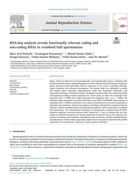 Pdf Rna Seq Analysis Reveals Functionally Relevant Coding And Non