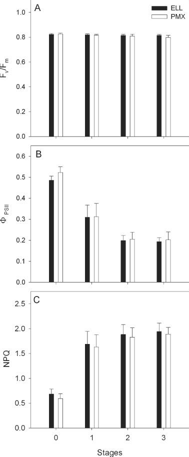 A Maximum Efficiency Of Psii Fv Fm B Quantum Yield Of Psii Download Scientific Diagram