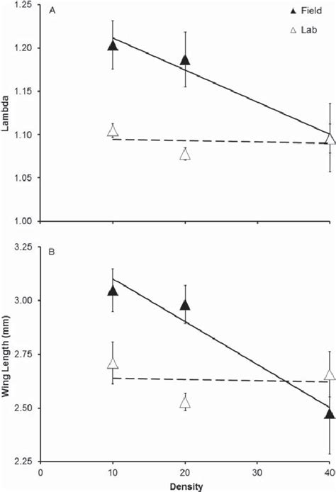 A Lambda mean SE for Þeld collected and laboratory strains of Ae Download Scientific