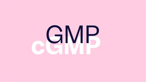 Gmp Vs Cgmp What Are The Differences Scilife