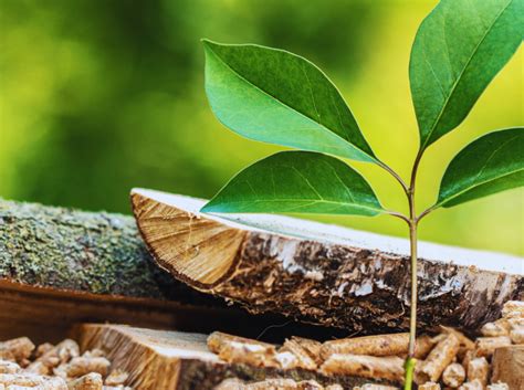 SBTi Announces Major Revision of Corporate Net-Zero Standard