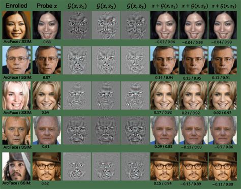 Examples Of Generated Adversarial Images Along With Corresponding