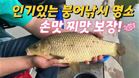 수도권💯손맛보장 찌맛은 덤 🎣무조건 잡는 붕어낚시터 3곳 지금 알려드립니다 Youtube
