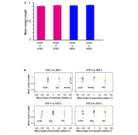 Mean Vector Length Distribution And Dynamics Of Place Cell