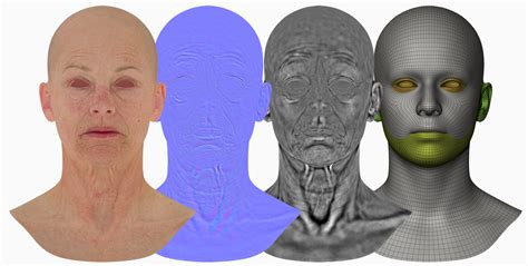 Female 14 Hd Displacement Map