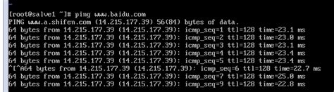 linux操作系统ping不通外网域名问题 linux ping 域名 csdn博客