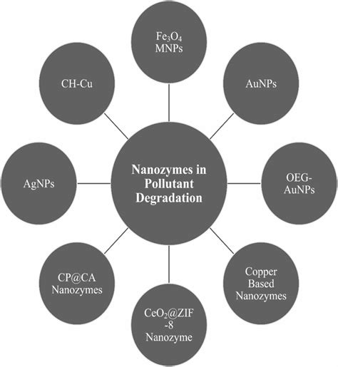 Various Types Of Metal And Organic Nanozyme Used In Pollutant
