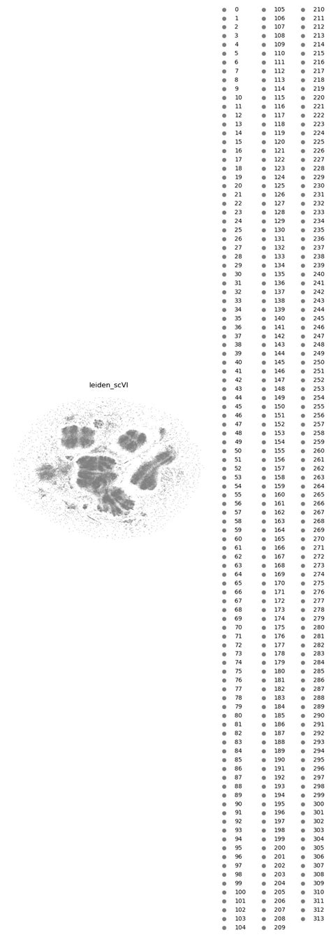 Clustering On The Scvi Latent Space Generates Only Gray Colored Cells