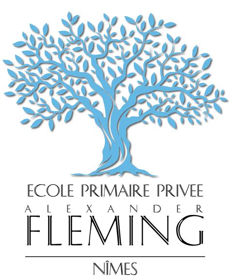 Brevet 2024 Au Collège Balzac 100 De Réussite 100 De Mentions École Privée Alexander Fleming