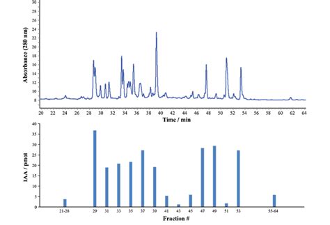 C 18 Reverse Phase Liquid Chromatographic Fractionation Of A Protein Download Scientific
