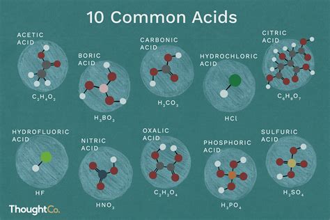 Give Examples Of Acids In Living Systems