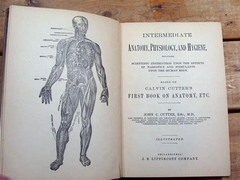 Intermediate Anatomy