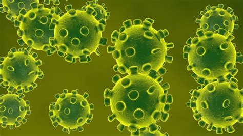 Macam Macam Virus Berdasarkan Jenis Dna Dan Rna