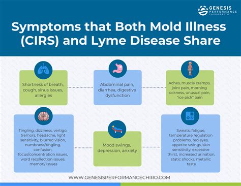 White Bump Bug Bite Lyme Disease Symptoms Identifying The Signs Of