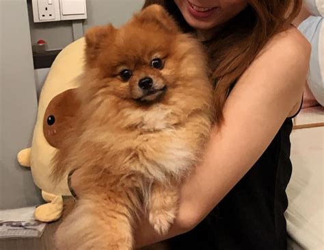 We Took 2 Days To Record 1 Minute Ben Hum Got Very Nervous Singing