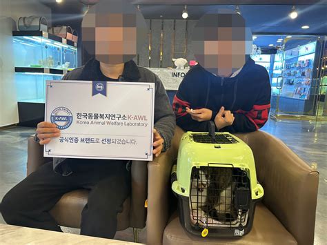 코리안숏헤어 아리 치와와키우는방법 코카스파니엘키우는방법 폼스키키우는방법 폼치키우는방법 폼피츠키우는방법 푸숑키우는방법 노르웨이숲키우는방법 뱅갈키우는방법 샴키우는방법 셀커크렉스